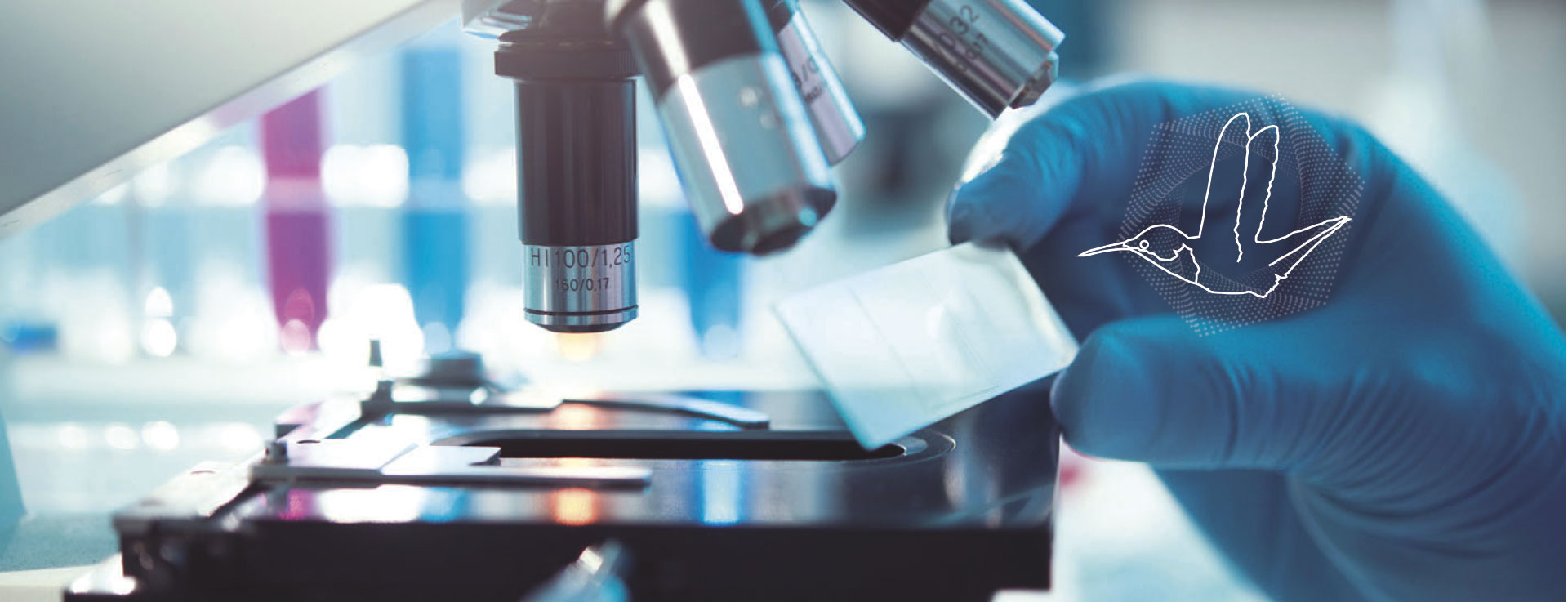 Funcionamiento del PEEC – FBA