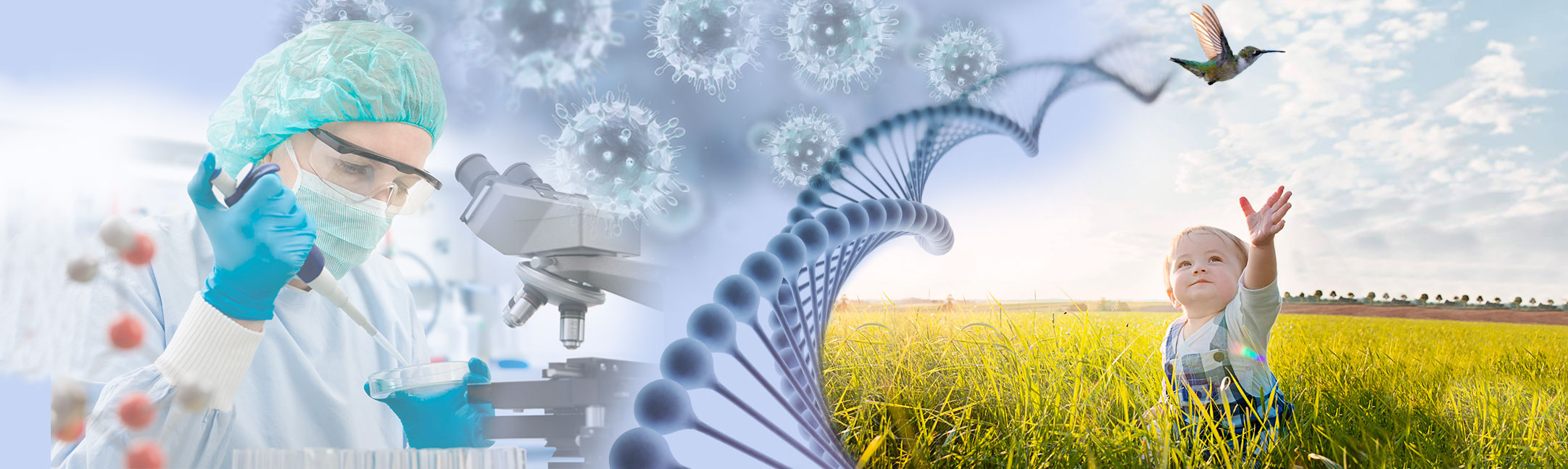 Sedes y Contactos – FBA