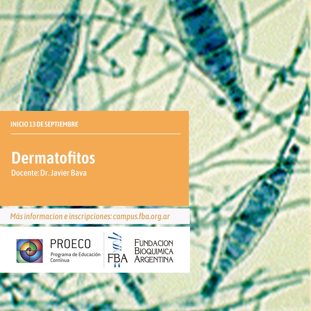 Dermatofitos – FBA