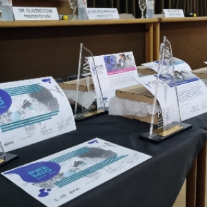 Acto de entrega de Premios PROES y FABA/FBA 2023 – FBA