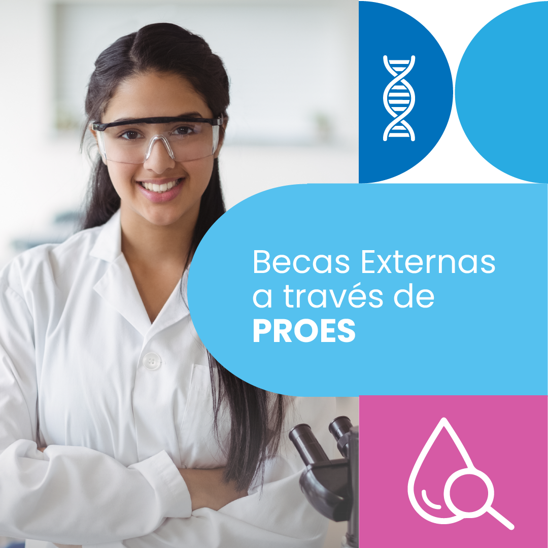 ¿Te interesa aplicar a becas para realizar dos cursos online y ...